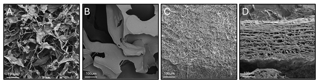 Dermal Matrices: What Features Matter Most for Time to Graft?